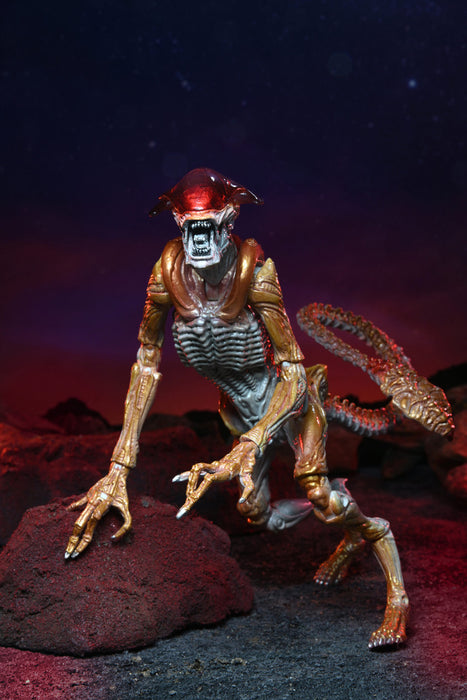 Aliens Kenner Tribute Panther Alien 7-Inch Scale Action Figure ...